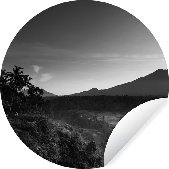 WallCircle - Muurstickers - Behangcirkel - Indonesië - Rijst - Zwart - Wit - 80x80 cm... | bol