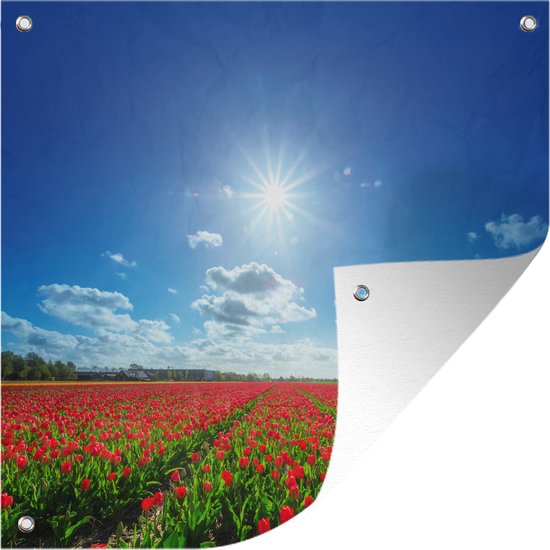 Tuindoek De zon schijnt vel op een net geordend veld van rode tulpen ...