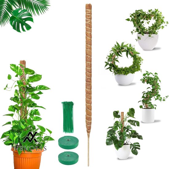 Nevolis Moss Pole 160 cm for Monstera Bendable Cheese Plant Support ...