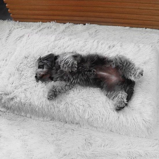 Extra Groot Hondenbed - Luxe Pluche - 120x80x10 cm - Wasbaar | bol