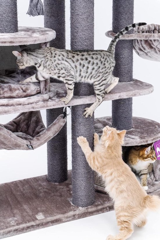 PolkaHome Krabpaal voor zware katten - Krabpaal voor grote katten ...