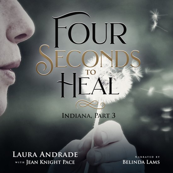 Four Seconds to Heal, Laura Andrade | 9781957936239 | Boeken | bol