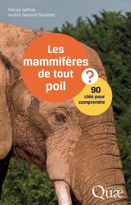 Clés pour comprendre - Les mammifères de tout poil (ebook), Audrey ... Clés pour comprendre - Les mammifères de tout poil (ebook), Audrey ...