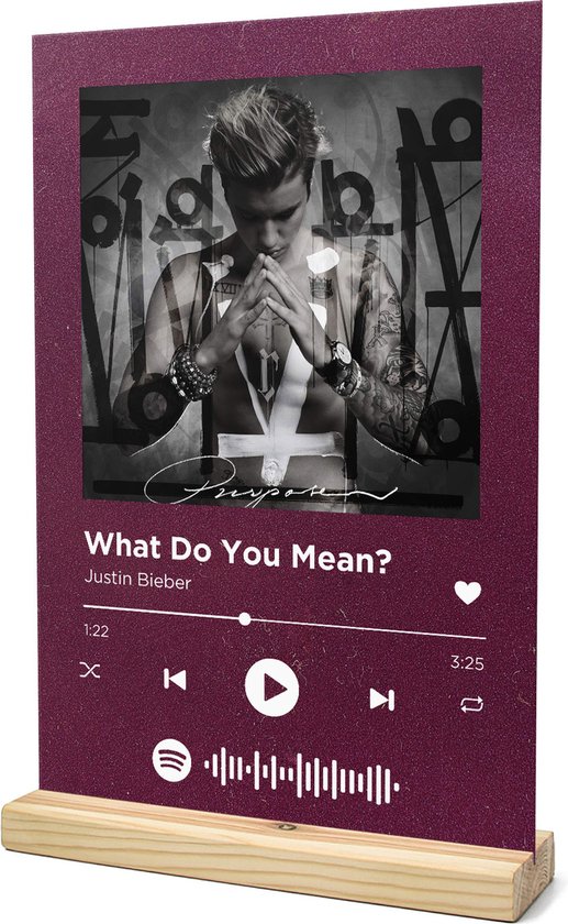 Songr Spotify Muziek Bordje - What Do You Mean? - Justin Bieber - 20x30 ...