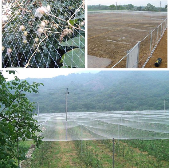 Bird Protection Net - Fijn Gaas Bladbescherming - 8 x 3 m - met ...