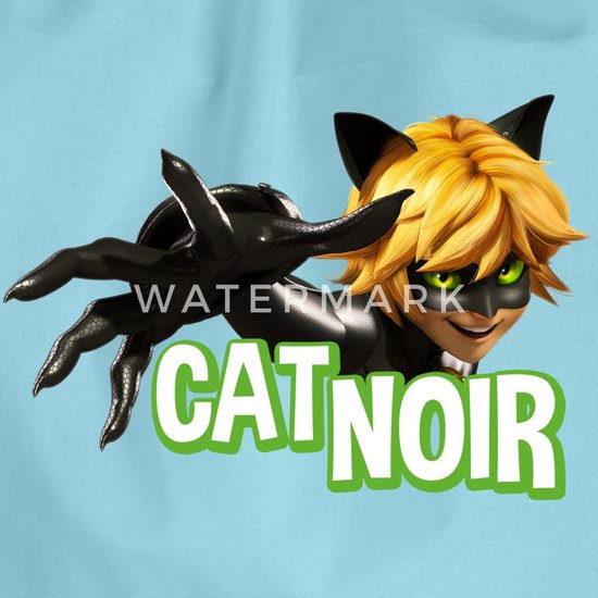 Miraculous Cat Noir Adrien | bol