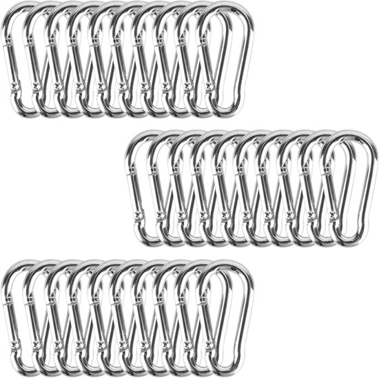 30 Pcs Kleine Carabiner Haakjes - RVS 4 x 40 mm - Sleutelhanger ...