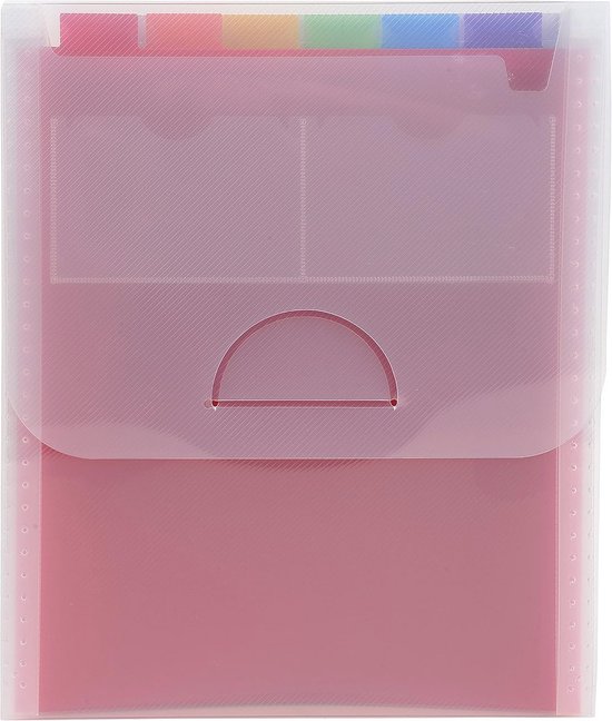 Sorting Folder with Handle and 24 Compartments - Perfect for A4 ...