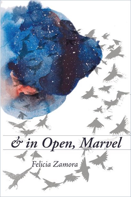 Free Verse Editions - & in Open, Marvel (ebook), Felicia Zamora ...