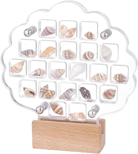 Sea Shell Holder 21 Grids - Acryl - Schelpen Display Box - Houten Basis ...