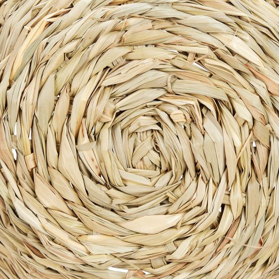 Rodent Toys Set of 3: Grass House, Tunnel & Straw Root Cage Accessories ...