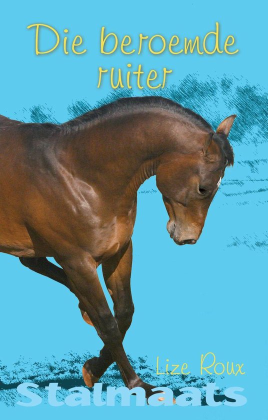 Stalmaats 5 (ebook), Lize Roux | 9780799356335 | Boeken | bol.com