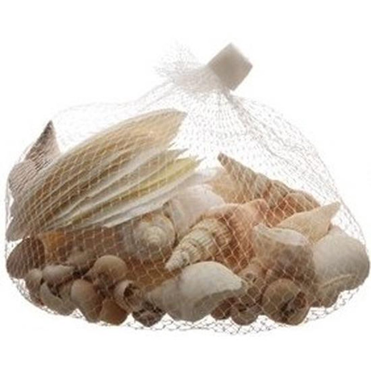 Set van 2 zakjes decoratie/hobby witte/bruine schelpen 350 gram - Echte ...