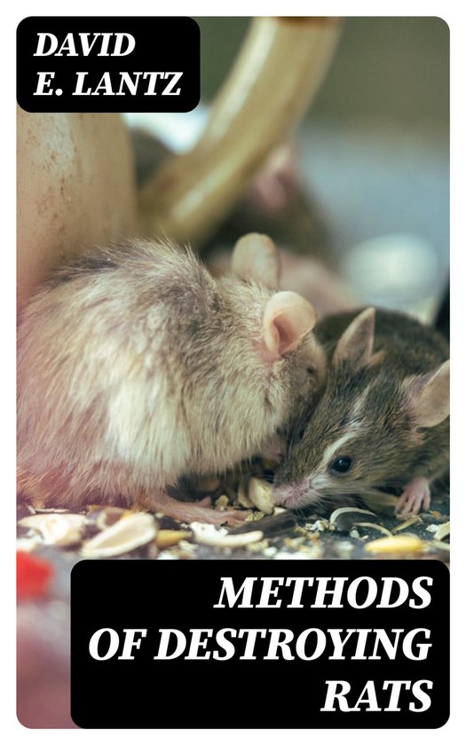 Methods of Destroying Rats (ebook), David E. Lantz | 8596547236344 ...