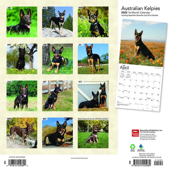 Australian Kelpie Kalender 2023 | bol.com