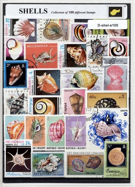 Schelpen – Luxe postzegel pakket (A6 formaat) : collectie van 100 ...