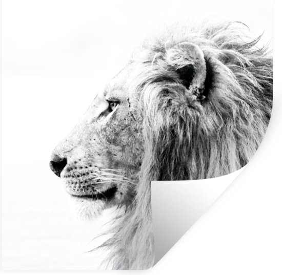 Muurstickers - Sticker Folie - Leeuw - Zwart - Wit - Dieren - 120x120 cm - Plakfolie -... | bol