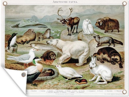 Muurdecoratie buiten Pooldieren - Vintage - Tekening - 160x120 cm ...