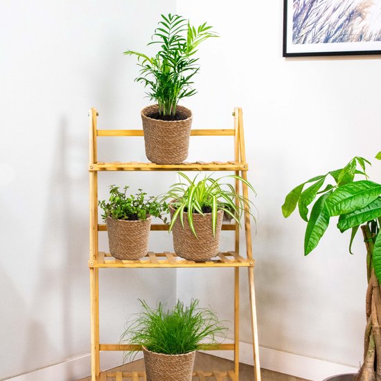 Mand Lux – Zeegras – Terami Kasih – ⌀14 cm – 10-15 cm | bol