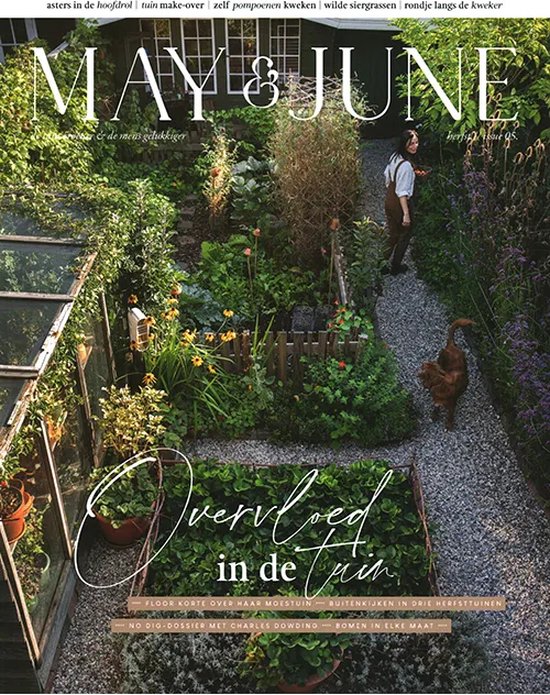 May & June - 05 2022 | bol