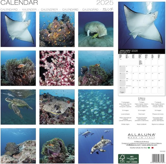 Underwater World Kalender 2025 | bol