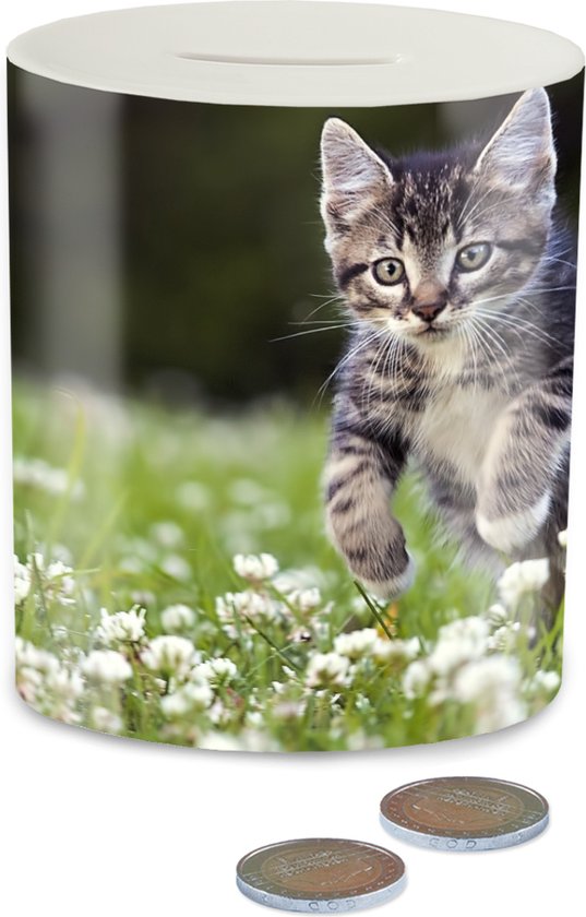 Spaarpot - Spaarblik - Een kitten in een veld met klaver - Spaarpotten ...