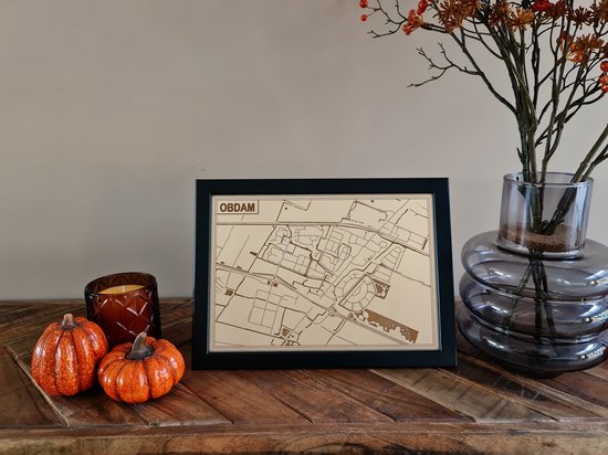 Houten stadskaart van Obdam | bol