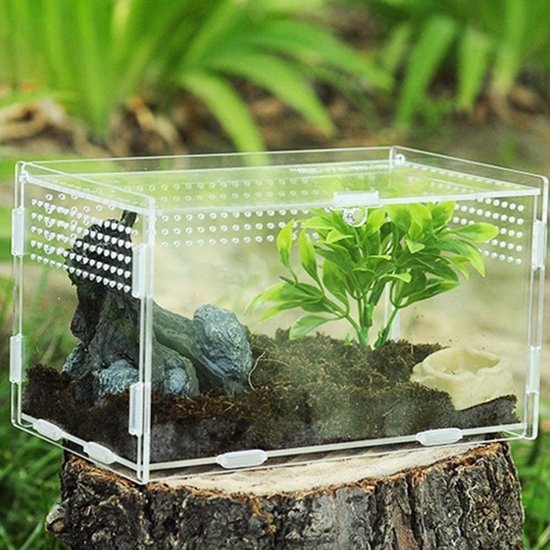 Insecten voeder doos - Acryl Terrarium Containers voor Spinnen Hagedis ...