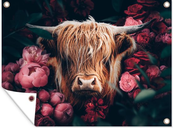 Poster de jardin Vache - Highlander écossais - Fleurs - botanique ...