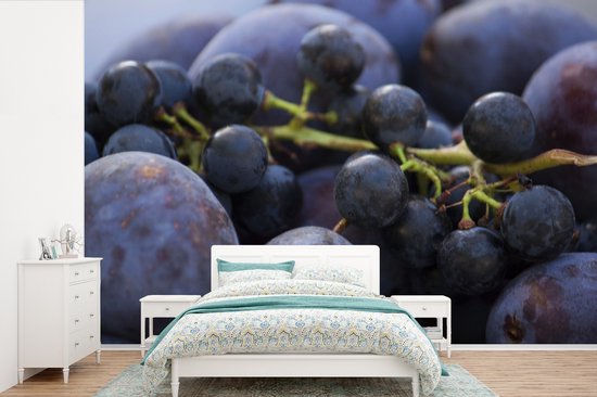 Behang - Fotobehang druiven met pruimen - Breedte 600 cm x hoogte 400 ...