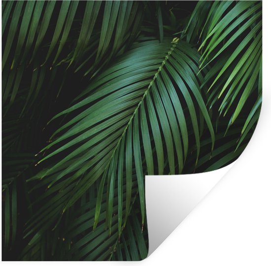 Muurstickers - Sticker Folie - Palmbladeren - Palmen - Tropical - 80x80 ...