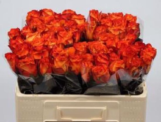 DutchFlowers - Boeket - Rosa Cheetos+ | bol.com