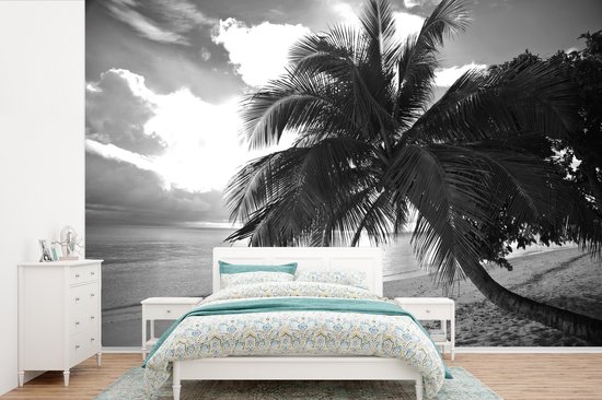 Behang - Fotobehang Palmen aan kust - Breedte 360 cm x hoogte 240 cm ...
