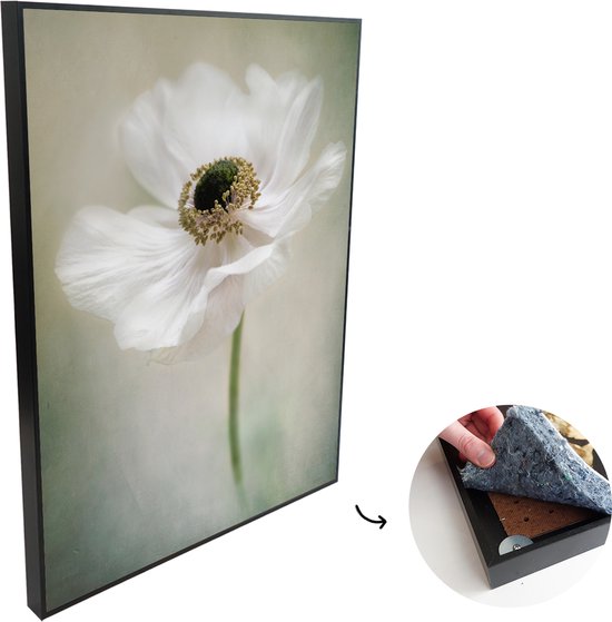 Bloemen - Natuur - Anemoon - Wit | bol.com