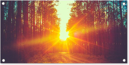 Tuinposter zonsondergang - Bos - Natuur - Avond - Tuindoek ...