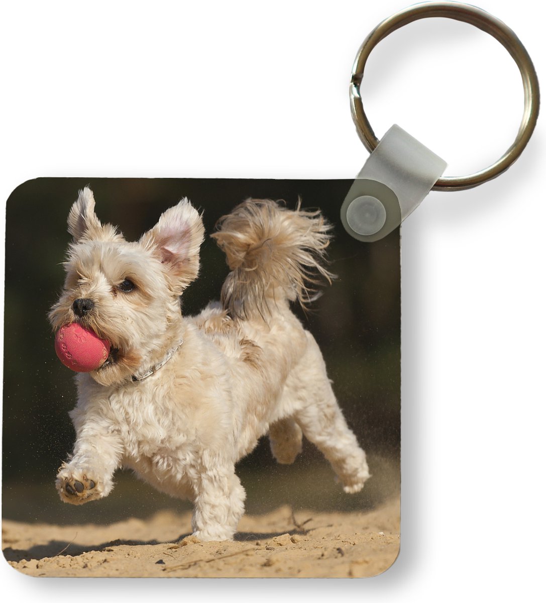 Sleutelhanger - Uitdeelcadeautjes - Een Maltezer hond met een rode bal ...
