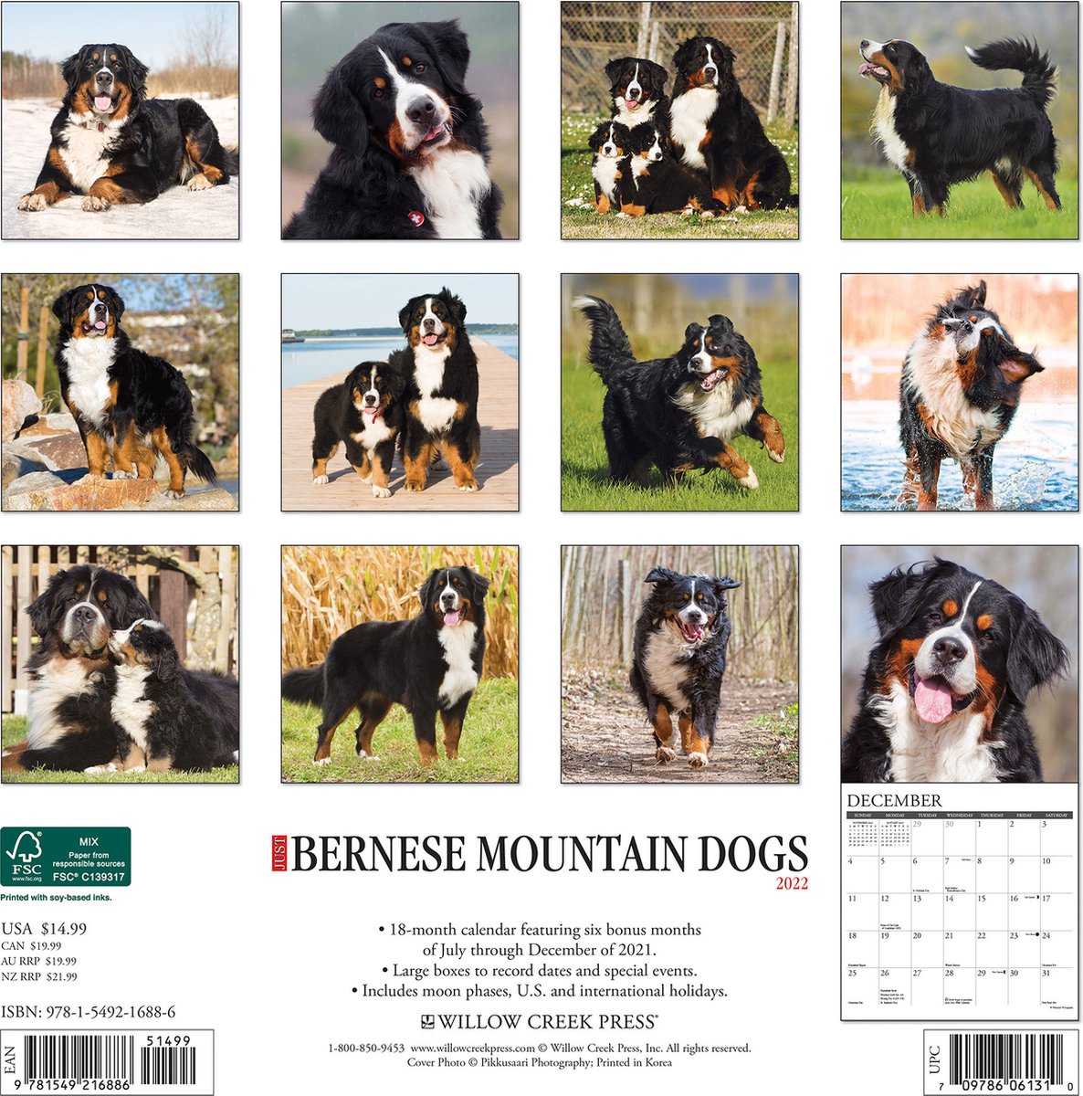 Berner Sennen Kalender 2022 | bol.