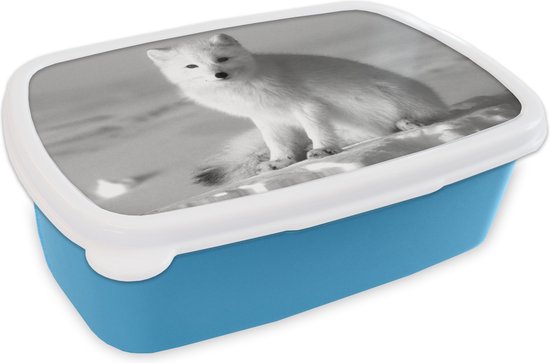 Broodtrommel Blauw - Lunchbox - Brooddoos - Een witte Poolvos zit in de ...