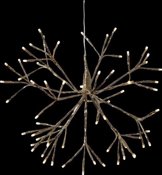 Poolster goud met 64 micro LED lampjes - Ø 40 cm | bol