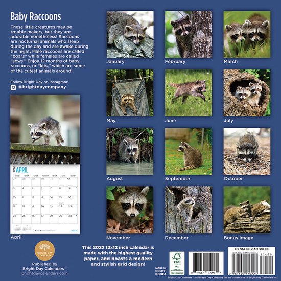 Baby Wasbeer Kalender 2022 | bol.com