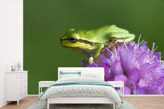 Behang - Fotobehang Kikker - Bloemen - Paars - Breedte 450 cm x hoogte ...