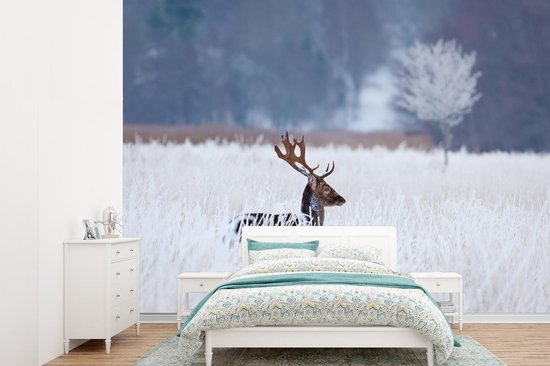 Behang - Fotobehang Hert - Sneeuw - Gewei - Breedte 305 cm x hoogte 220 ...