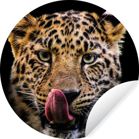 WallCircle - Muurstickers - Behangcirkel - Luipaard - Zwart - Close up - 120x120 cm -... | bol
