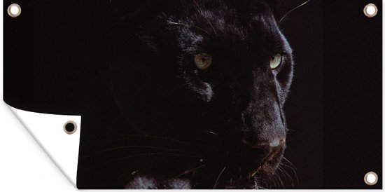 Schuttingposter Panter - Dier - Zwart - 200x100 cm - Tuindoek | bol.com
