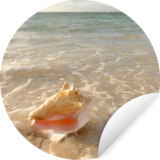 WallCircle - Muurstickers - Behangcirkel - Schelp - Zee - Lucht - 50x50 ...