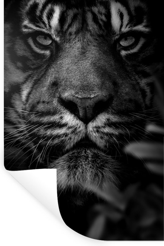 Muurstickers - Sticker Folie - Close-up van bladeren en een tijger in de jungle -... | bol