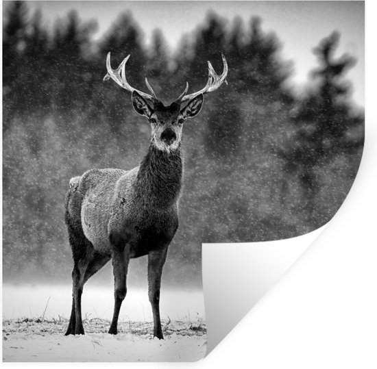 Muurstickers - Sticker Folie - Dieren - Hert - Winter - Zwart - Wit - 120x120 cm -... | bol