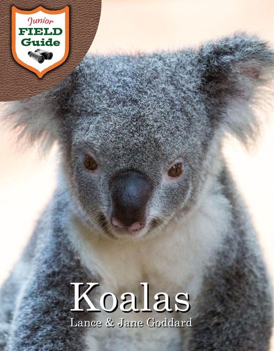 Junior Field Guide - Koalas (ebook), Lance Goddard | 9781989806203 ...