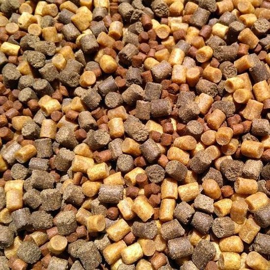 Voervoorvis Koi Sinking Mix - Zinkend koivoer - 5KG - 4,5mm | bol