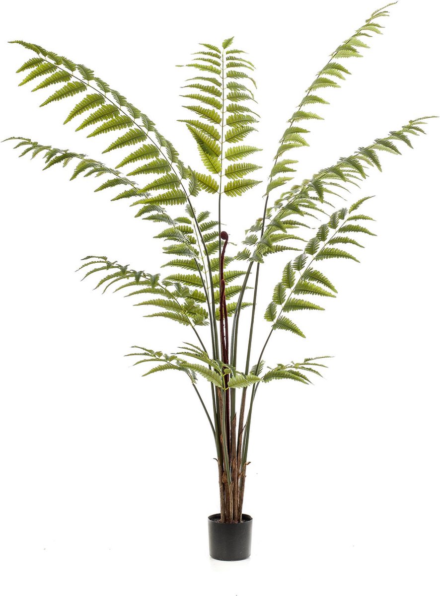 Rumohra Adiantiformis - Ledervaren - 180 cm - kunstplant | bol